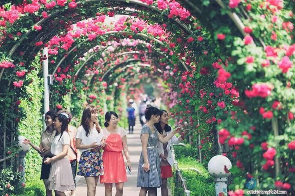 Thung Lũng Hoa Hồng Sapa điểm đến thu hút nhất năm 2021