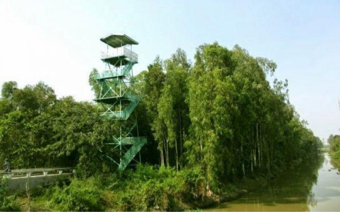 Lạc vào thế giới sinh thái tại khu du lịch Gáo Giồng - Đồng Tháp