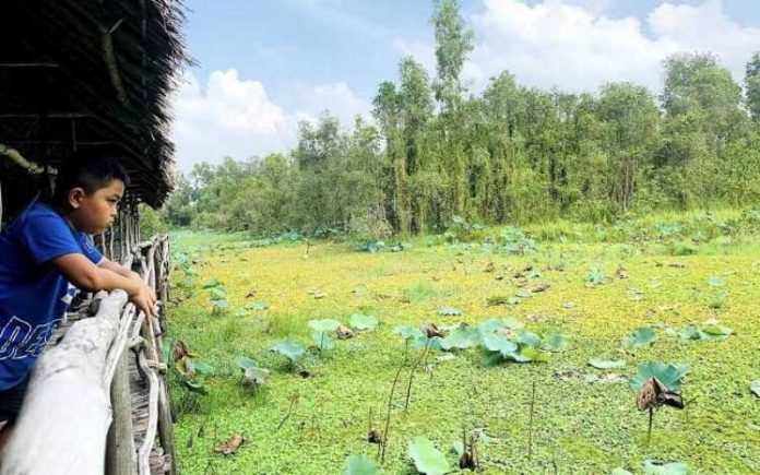 Lạc vào thế giới sinh thái tại khu du lịch Gáo Giồng - Đồng Tháp