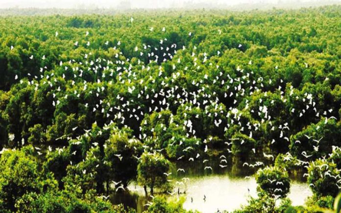 Lạc vào thế giới sinh thái tại khu du lịch Gáo Giồng - Đồng Tháp