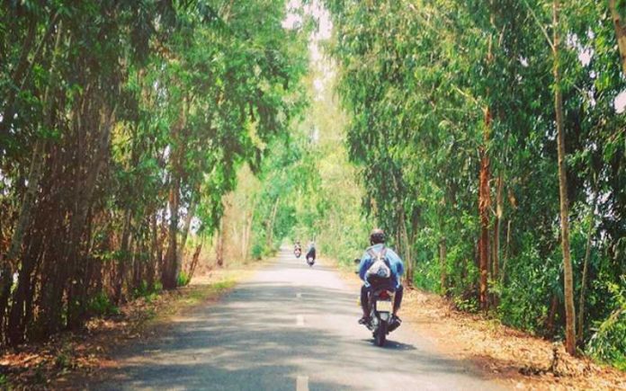 Lạc vào thế giới sinh thái tại khu du lịch Gáo Giồng - Đồng Tháp