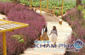 Lạc Trôi Ở Café Mê Linh Đà Lạt – Một Điểm Đến Triệu Góc Sống Ảo