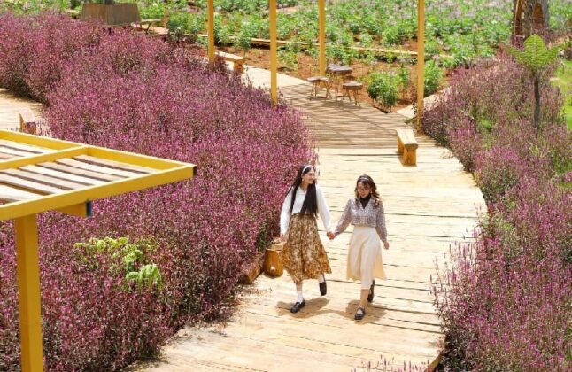 Lạc Trôi Ở Café Mê Linh Đà Lạt – Một Điểm Đến Triệu Góc Sống Ảo