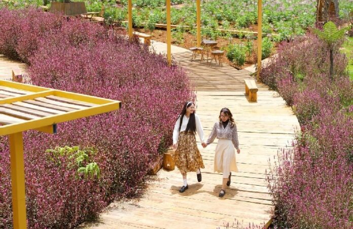 Lạc Trôi Ở Café Mê Linh Đà Lạt – Một Điểm Đến Triệu Góc Sống Ảo