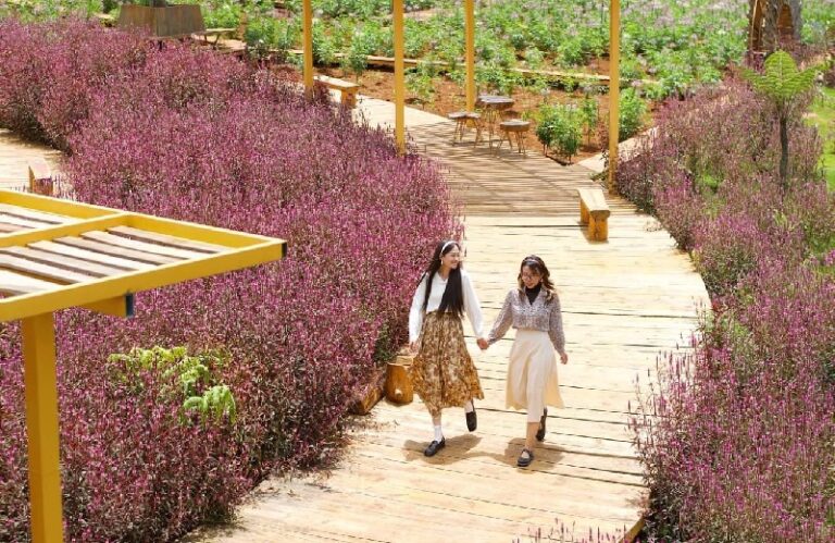 Lạc Trôi Ở Café Mê Linh Đà Lạt – Một Điểm Đến Triệu Góc Sống Ảo