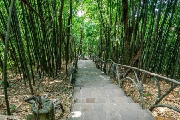 22 địa điểm du lịch Tam Đảo đã đến là quên luôn cả lối về