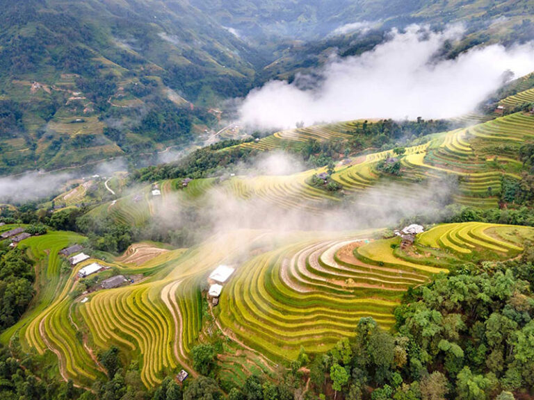 Ruộng bậc thang Mù Cang Chải – Di tích Quốc gia đặc biệt của Yên Bái